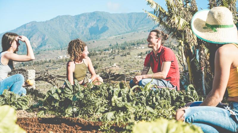 RDF West Heads to the Outback for Channel 4 Series | Channel 4